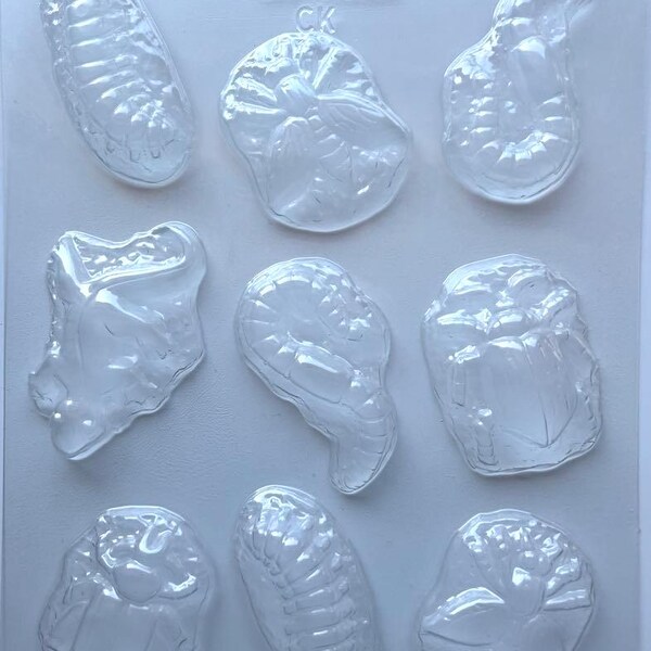Bug Mold - Etsy