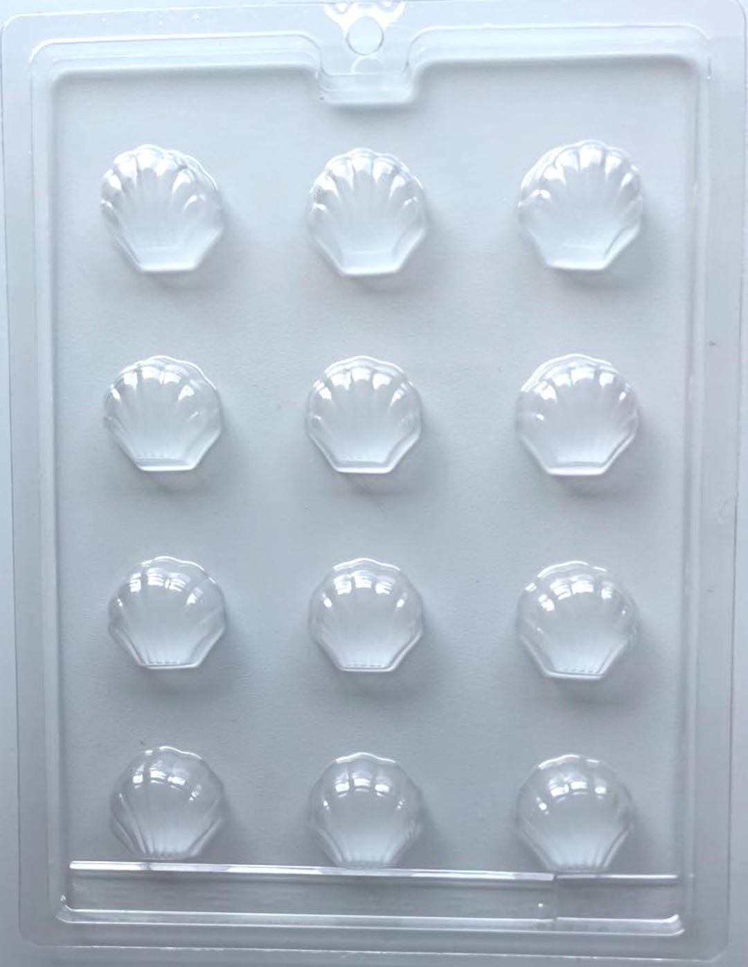 Shell Bon Bon Chocolate Candy Mold - Bite Size - Etsy