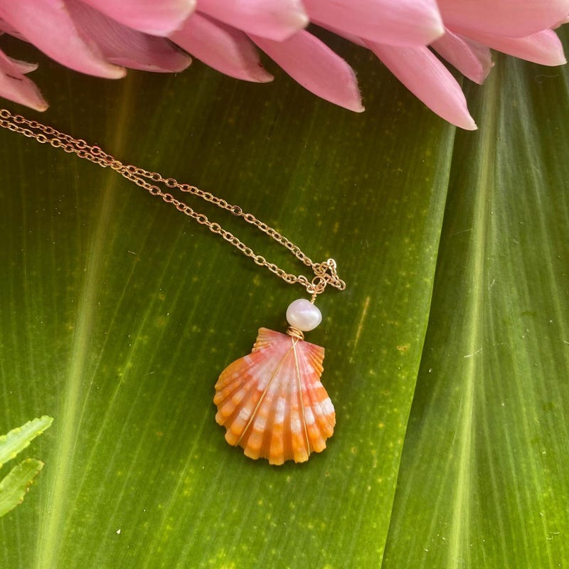 Shell Necklace - Etsy