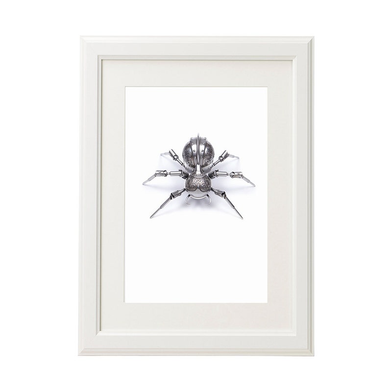 ChristopherConteShop - Etsy