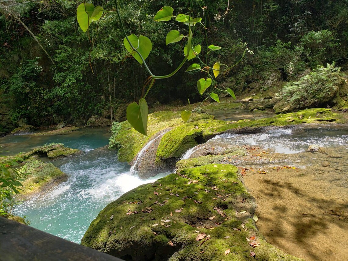 Beautiful Scenery of Ys Falls Photography - Etsy