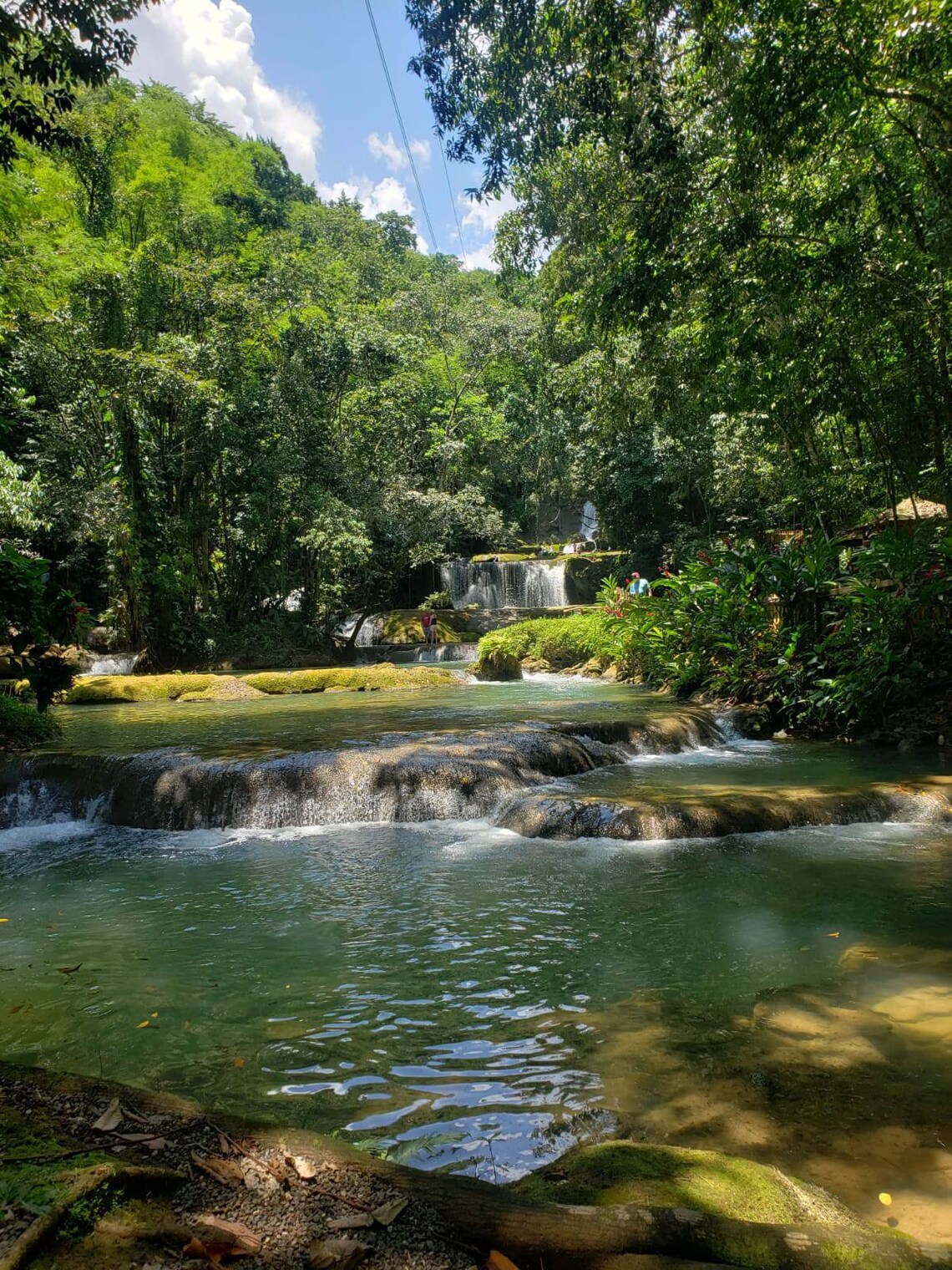 Beautiful Scenery of Ys Falls Photography - Etsy