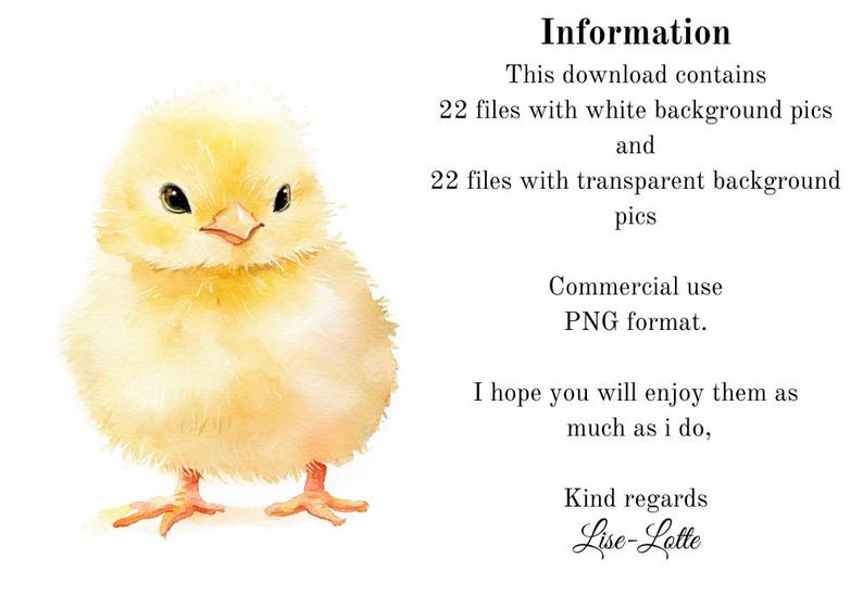 Easter, Chicks, Clipart, PNG Bundle, Watercolor Style Illustration ...