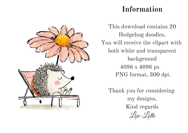 Doodle Hedgehog Clipart Bundle | Cute Hedgehog Illustrations ...