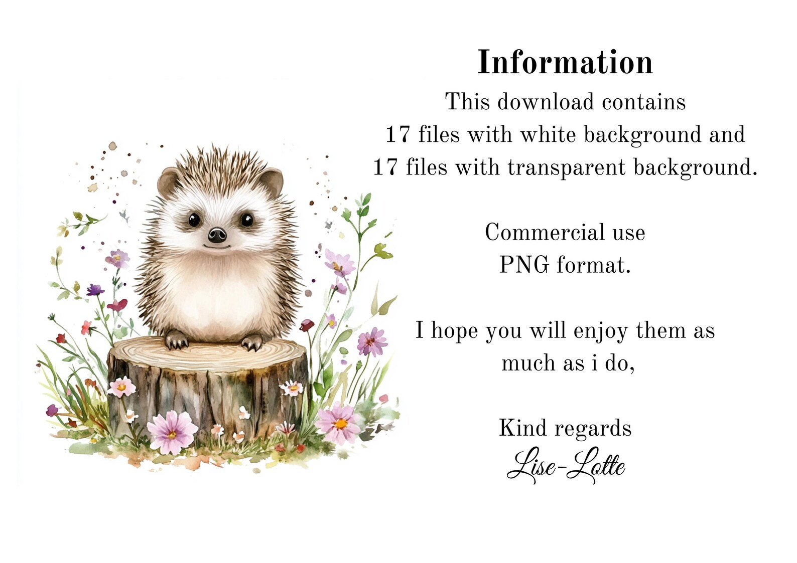 Cute Hedgehogs Clipart, PNG Bundle, Watercolor Style Illustrations ...