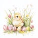 Easter, Chicks, Clipart, PNG Bundle, Watercolor Style Illustration ...