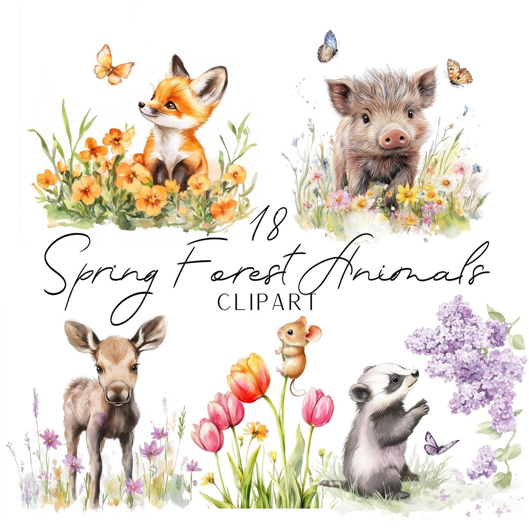 Spring Forest Animals Watercolor Clipart Set – Cute Woodland Animals ...