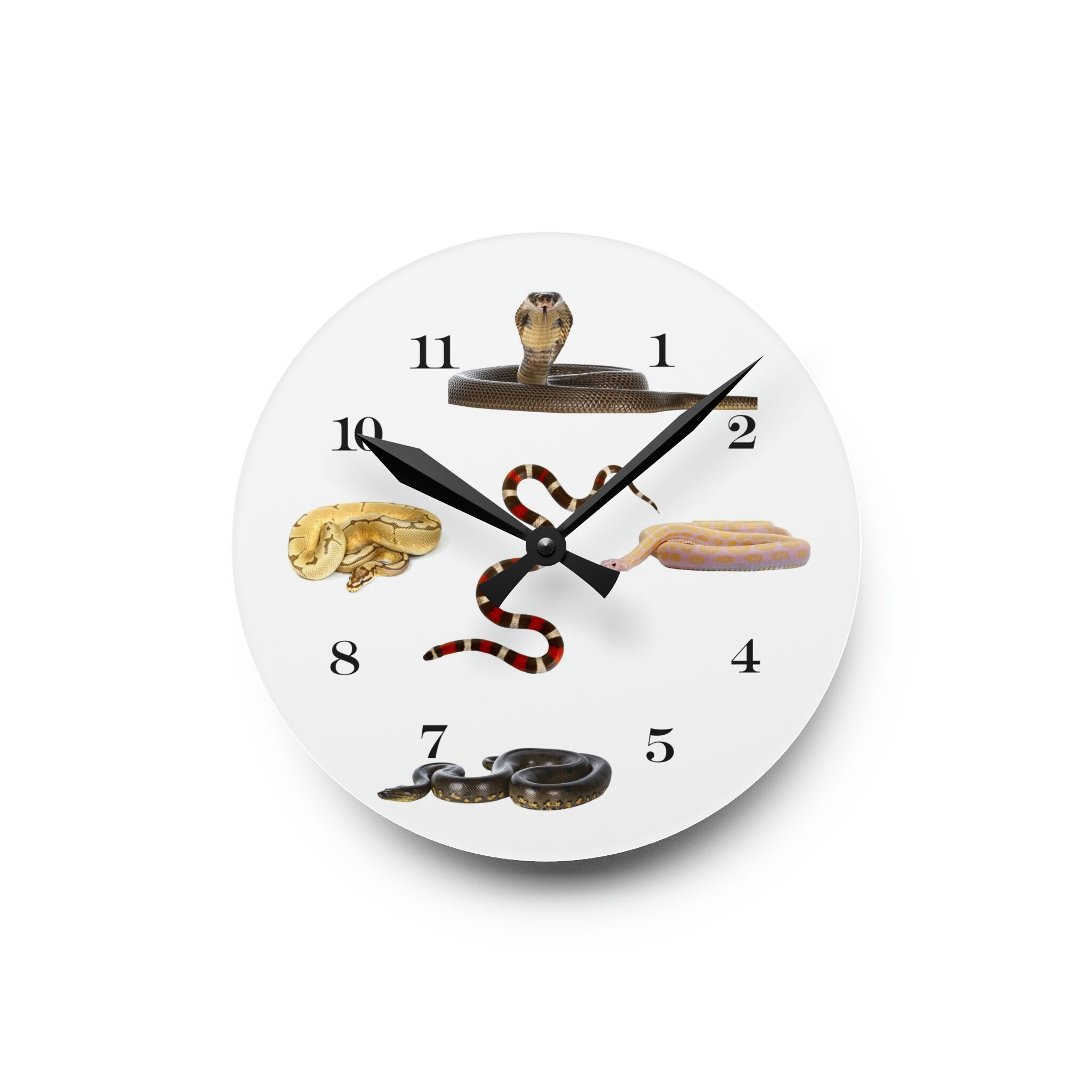 Snake Clock 8 Round Snake Wall Clock Reptile Wall - Etsy