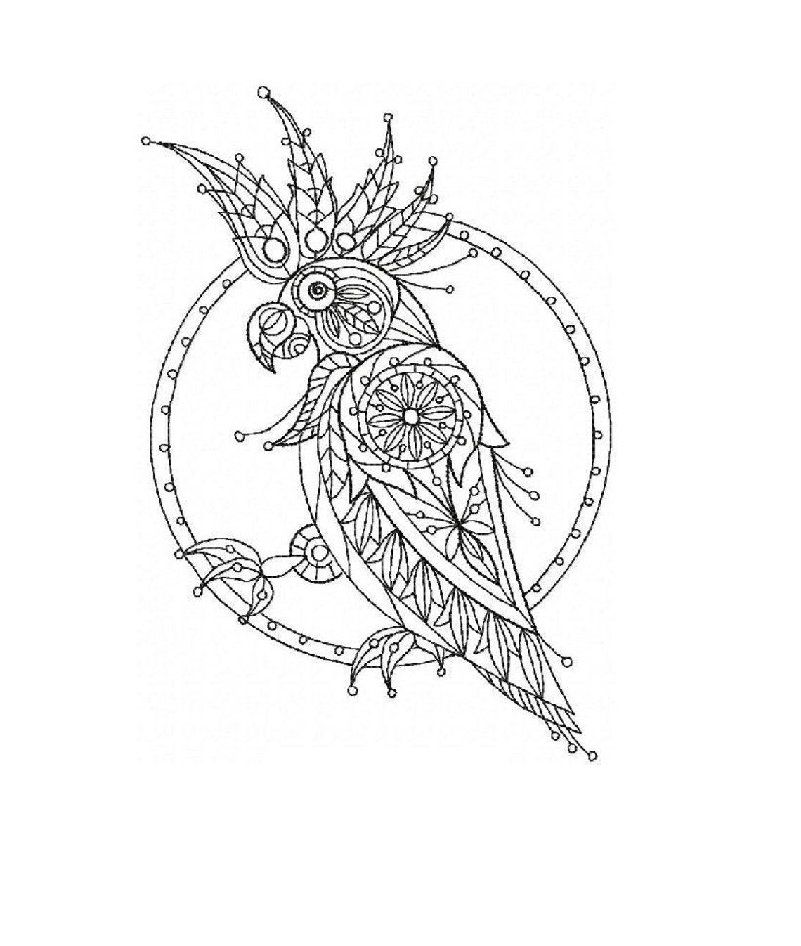 Parrot2 Embroidery Design Contour Stitch Embroidery Pattern | Etsy