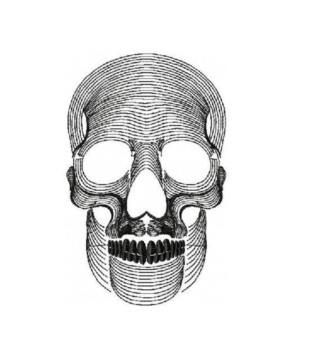 Skull Machine Embroidery Design - Contour Stitch Embroidery Pattern ...