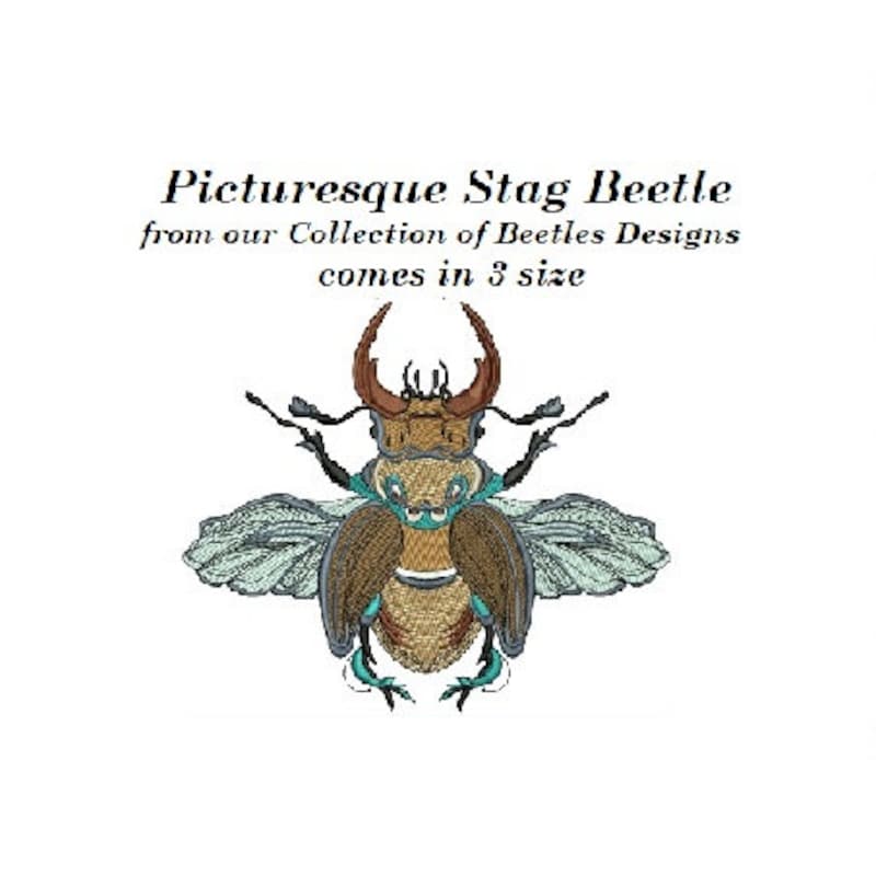 Beetle Embroidery - Etsy