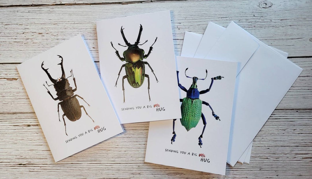Sending You a Big Bug/hug Greetings Card - 1 or Set of 3 | Bug | Insect ...