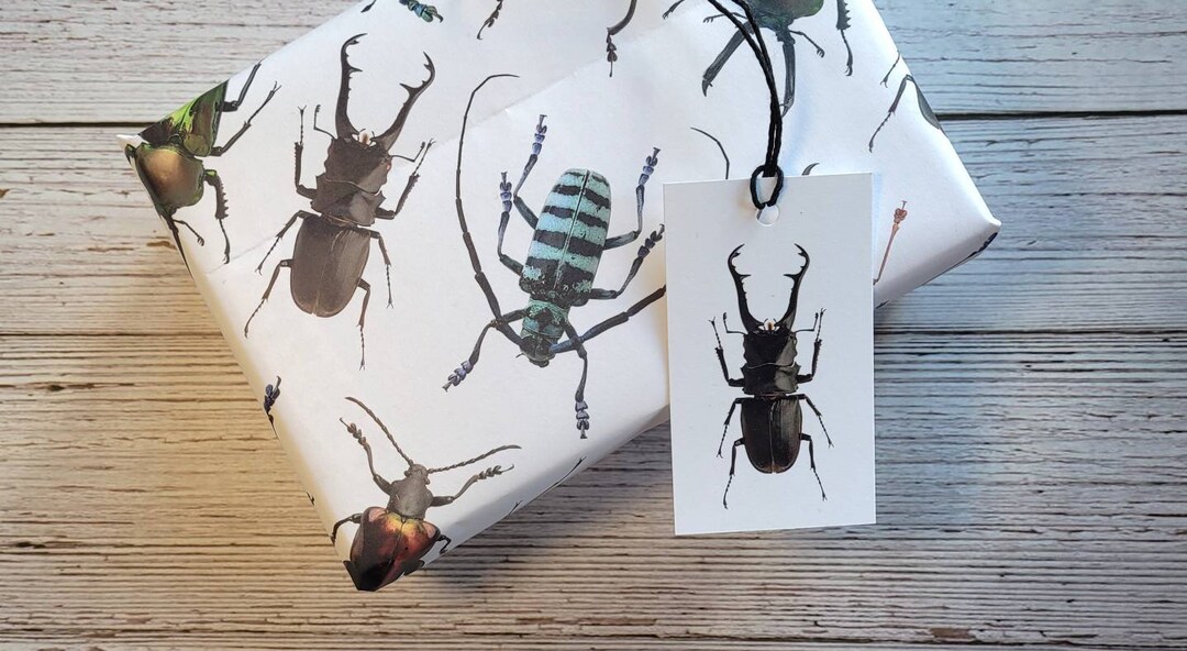 Bug Wrapping Paper - Matching Tag and Card Available | Bug | Insect ...