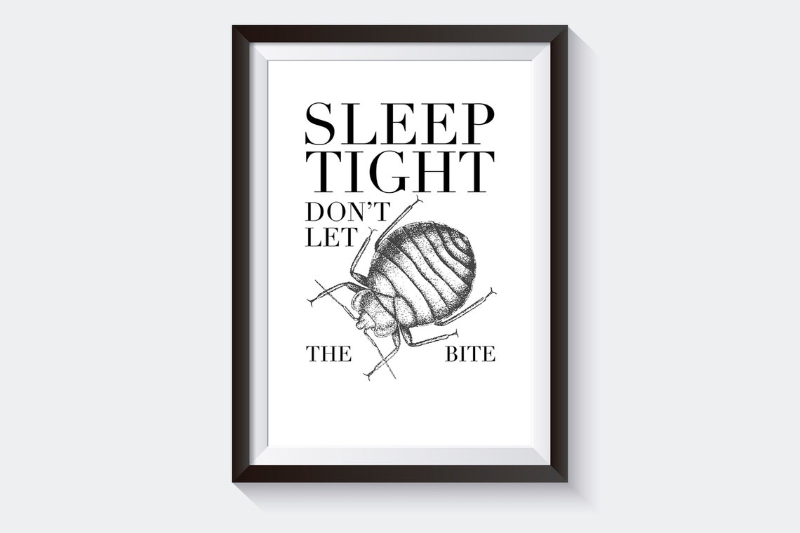 Sleep Tight Don't Let the Bedbugs Bite Bedroom Art - Etsy