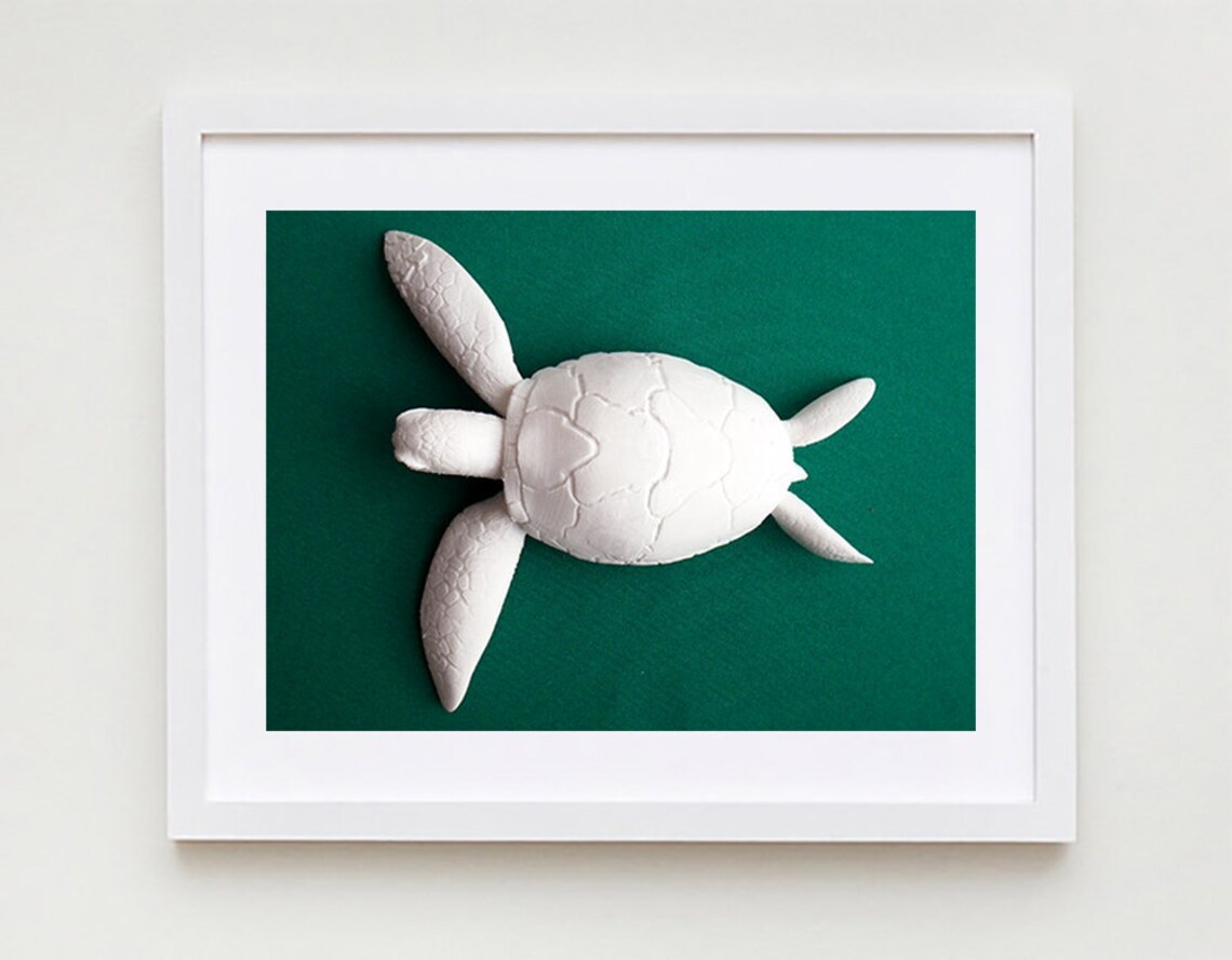White Sea Turtle. Wall Sculpture. 3D Picture. Sea Decor. 3d - Etsy