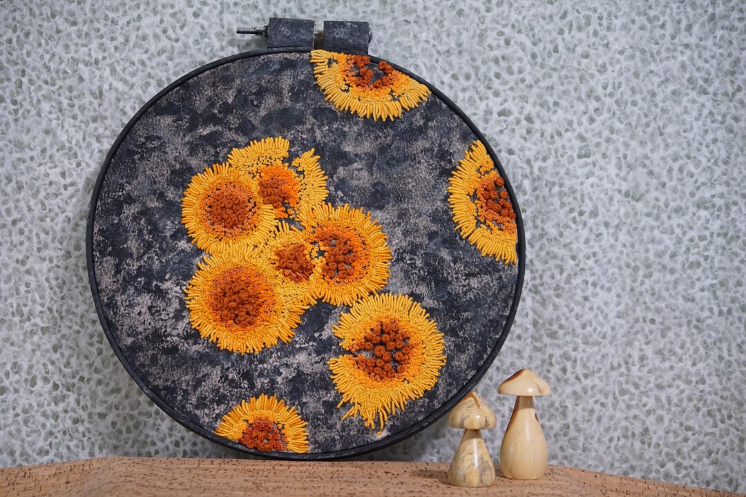 Sunburst Lichen Embroidery Art: Rusavskia Elegans on Granite, 14 ...
