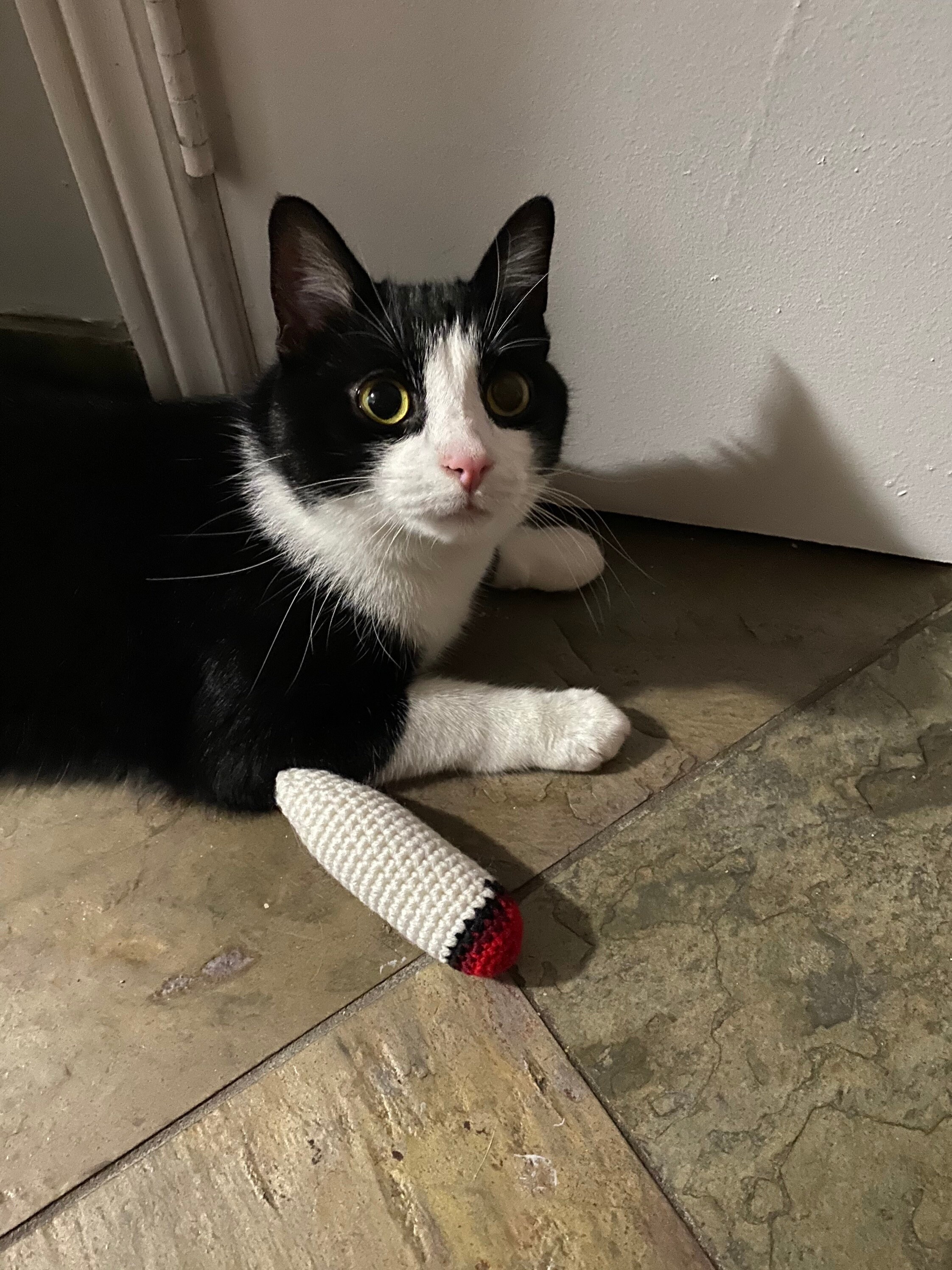 Cat Toy Joint/Doobie | Etsy