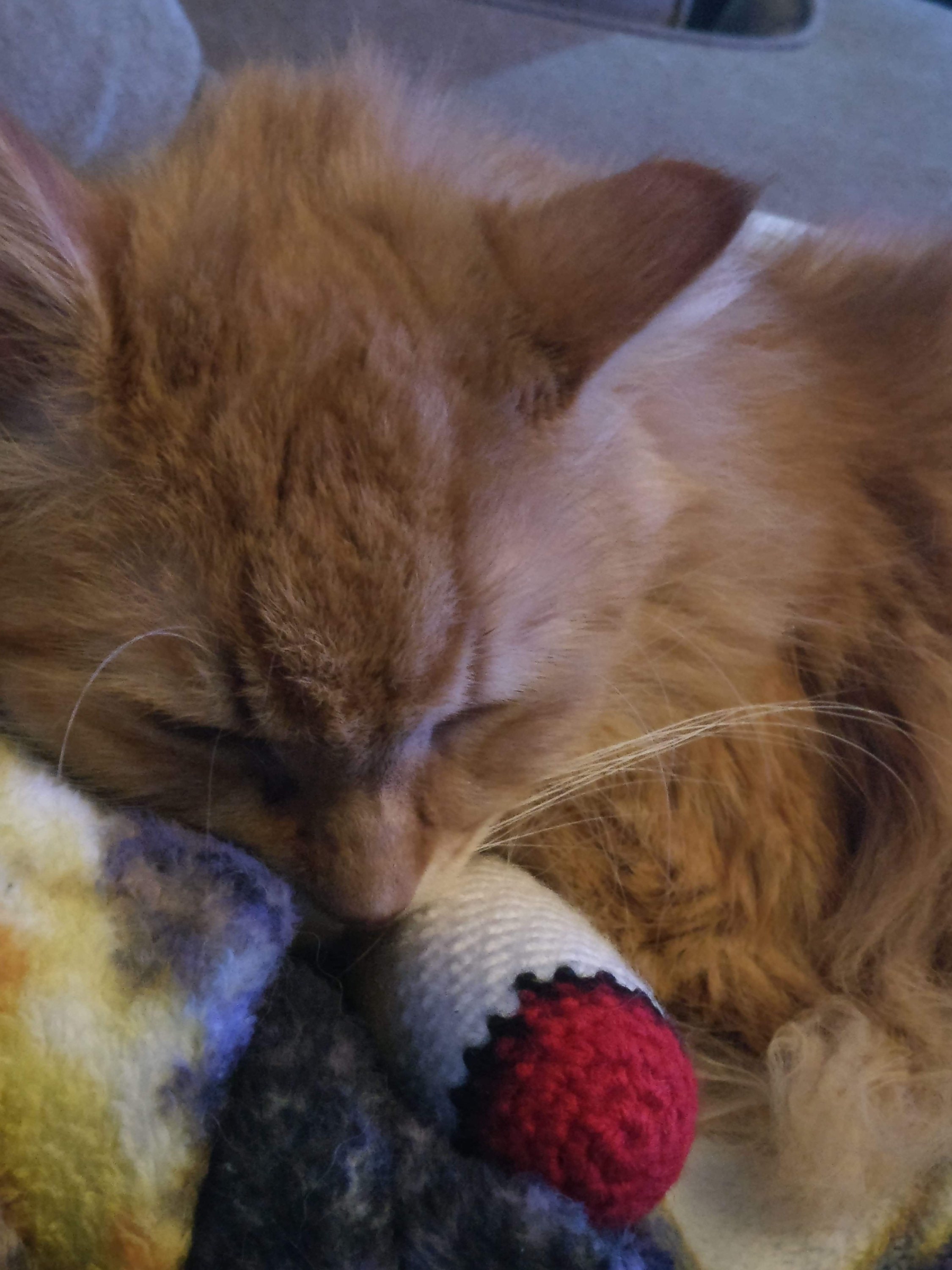 Cat Toy Joint/Doobie | Etsy