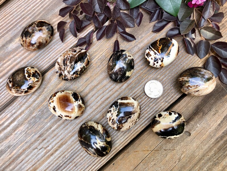 Brown Opal Polished Stone - Etsy