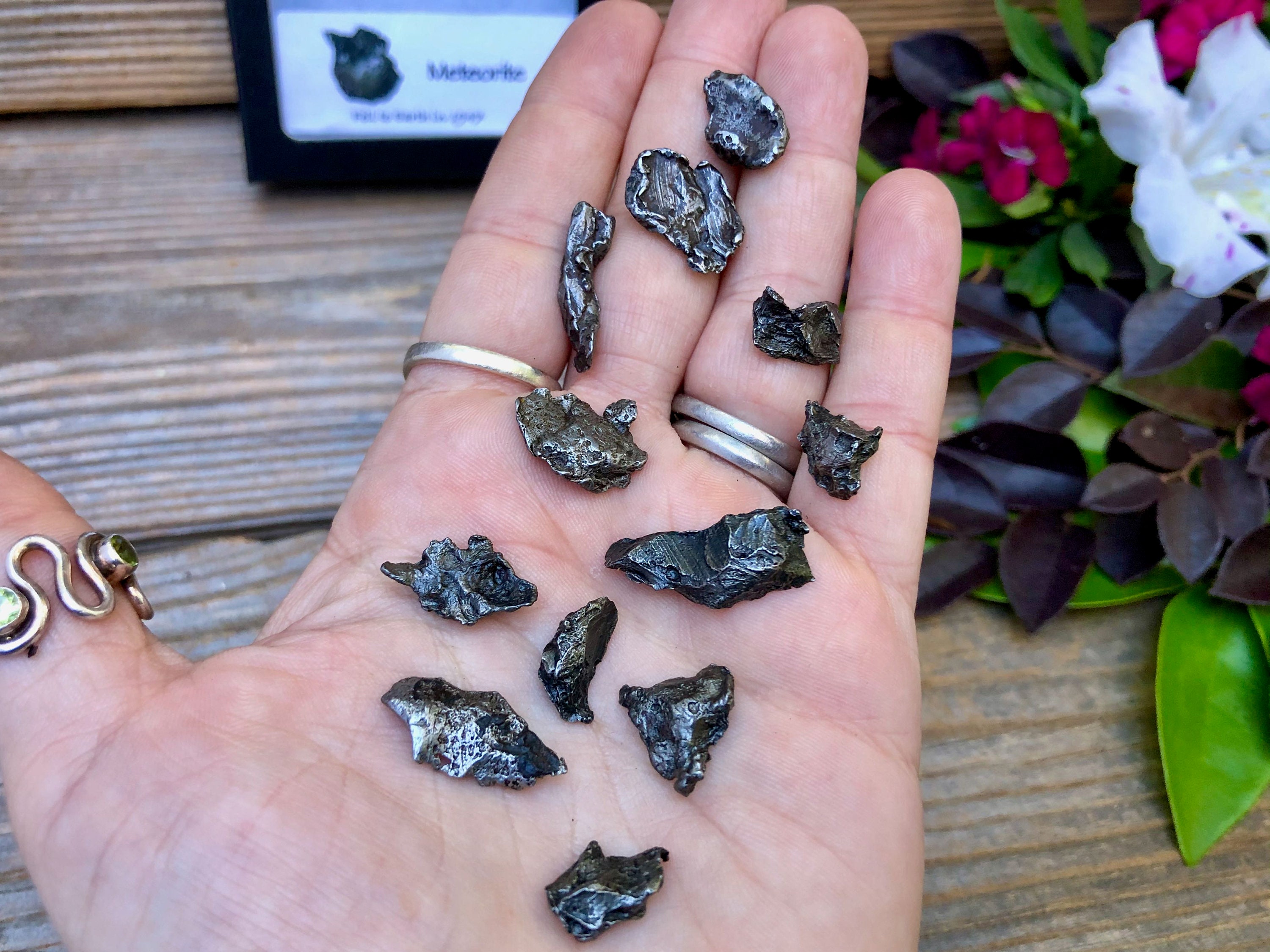 Meteorite in Display Case | Etsy