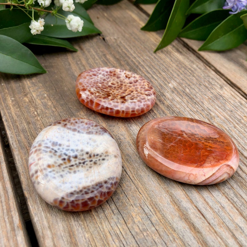 Snakeskin Agate - Etsy