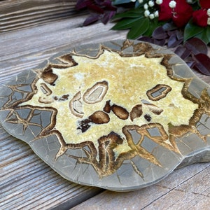 Septarian Geode Slice, Polished on One Side - Etsy