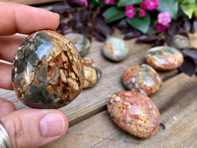 Ibis Agatized Jasper Polished Stone | Etsy