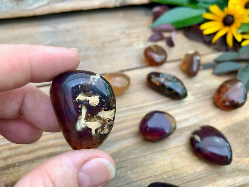 Amber Tumbled Pebble Fossilized Tree Sap | Etsy