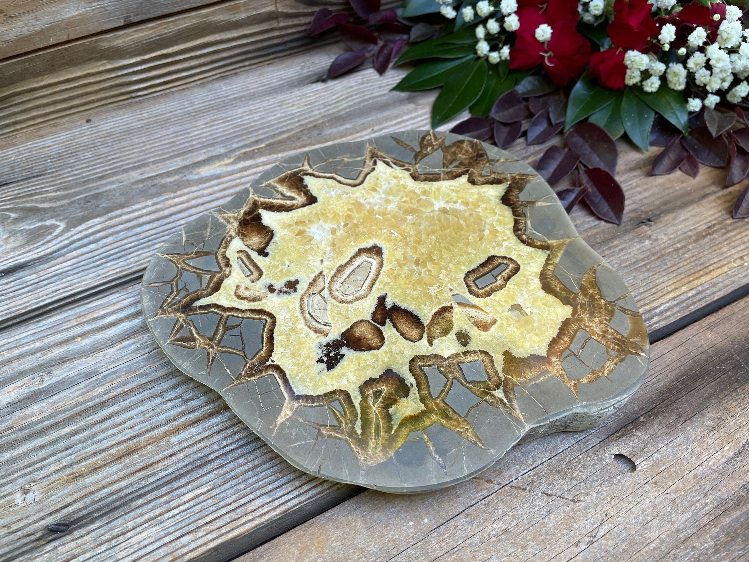 Septarian Geode Slice, Polished on One Side - Etsy