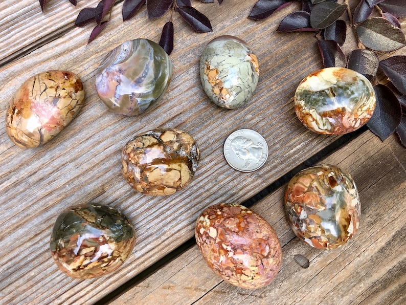 Ibis Agatized Jasper Polished Stone | Etsy