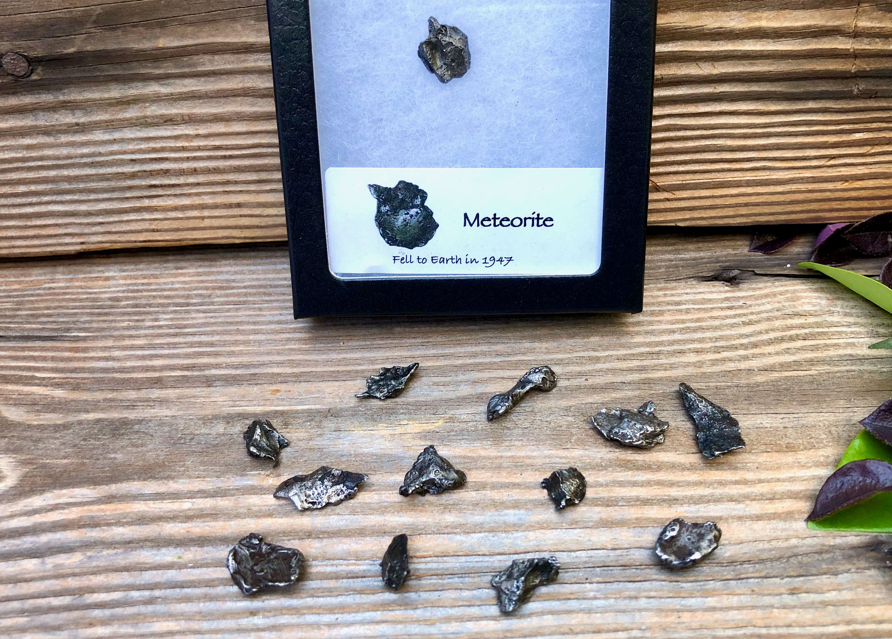 Meteorite in Display Case | Etsy