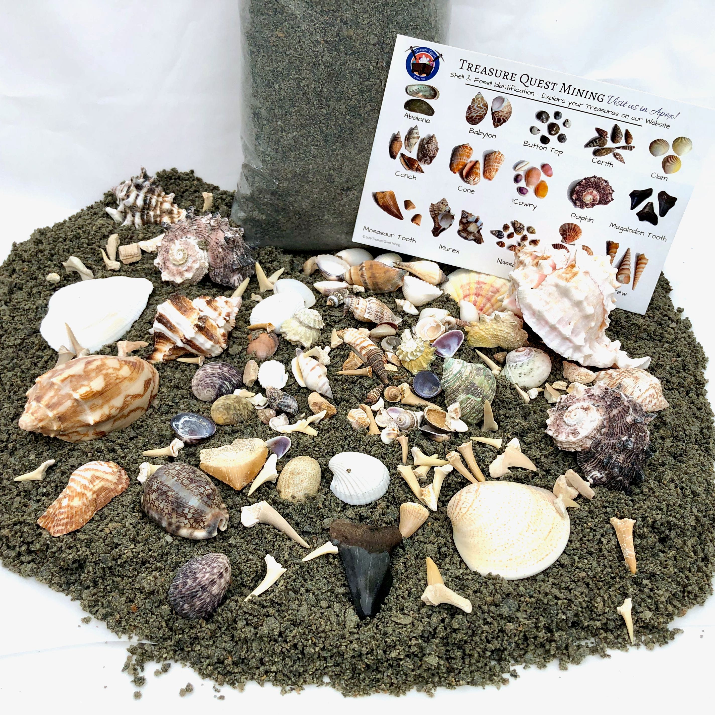 Mining Kits for Kids - Etsy