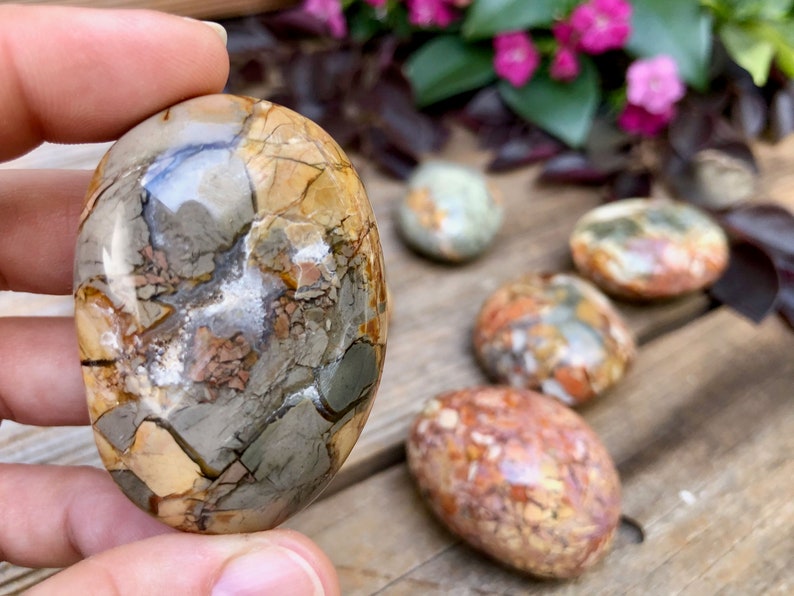 Ibis Agatized Jasper Polished Stone | Etsy