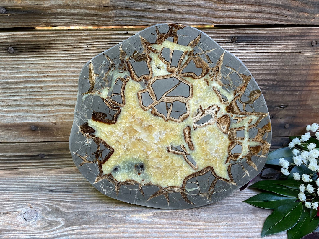 Septarian Geode Slice, Polished on One Side - Etsy