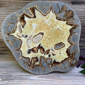 Septarian Geode Slice, Polished on One Side - Etsy