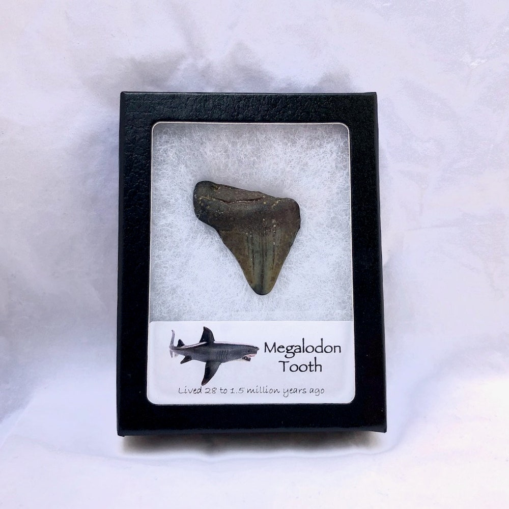 TreasureQuestMining - Etsy