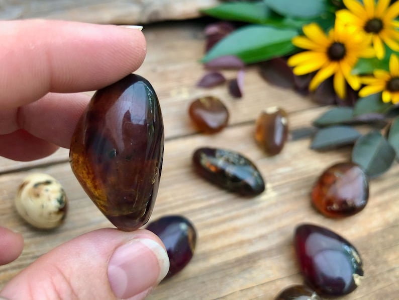 Tumbled Amber - Etsy