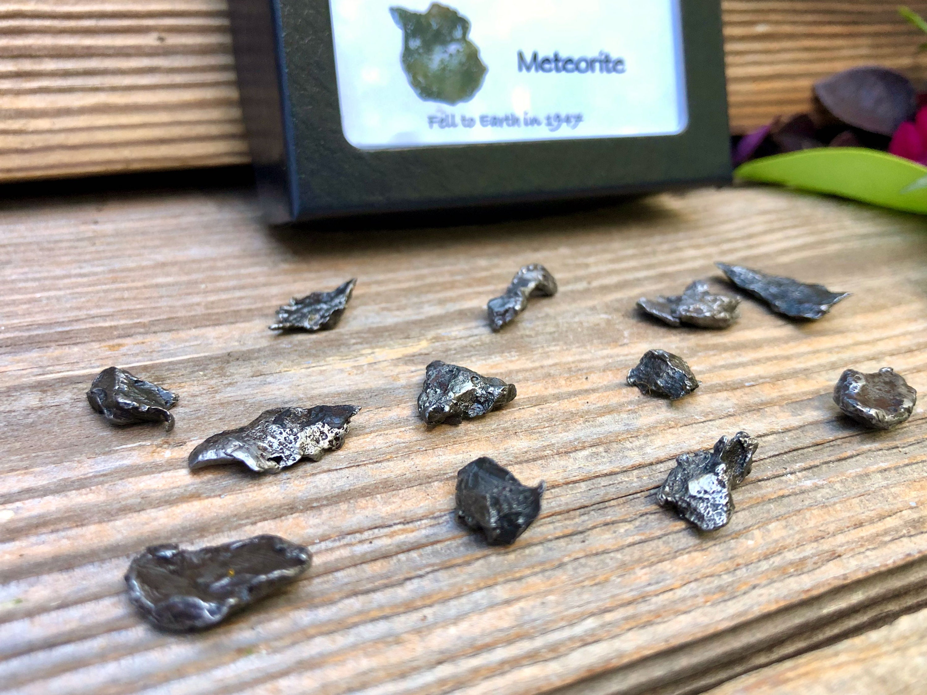 Meteorite in Display Case | Etsy