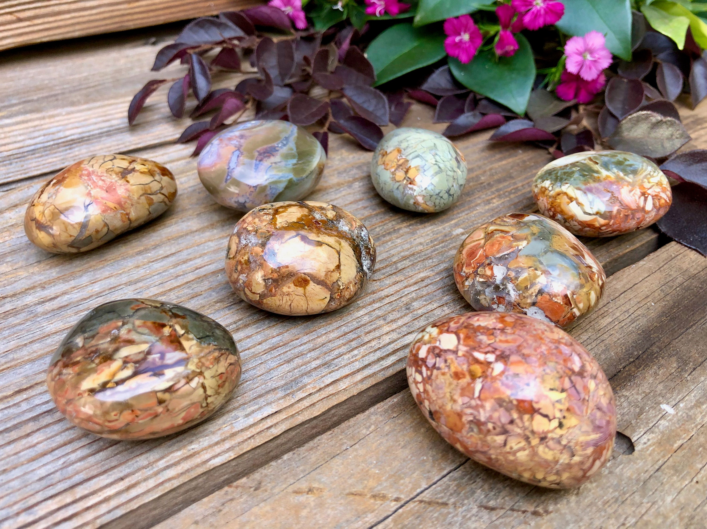 Ibis Agatized Jasper Polished Stone - Etsy Australia