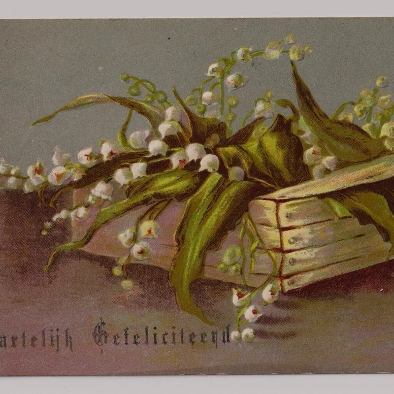 Dutch Postcard - Etsy