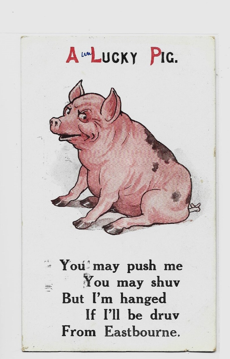 A LUCKY PIG, Antique Comic Artist Postcard, Posted in 1913 - Etsy