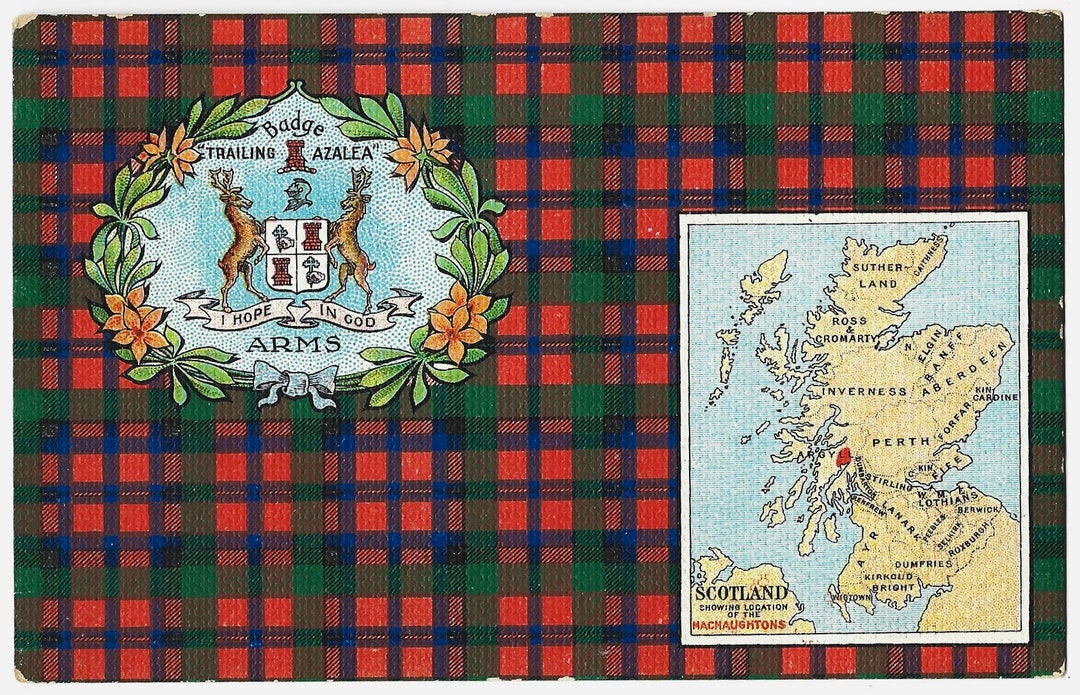 MACNAUGHTON, Tartan, Clan Map, Coat of Arms, Antique SCOTTISH Postcard ...