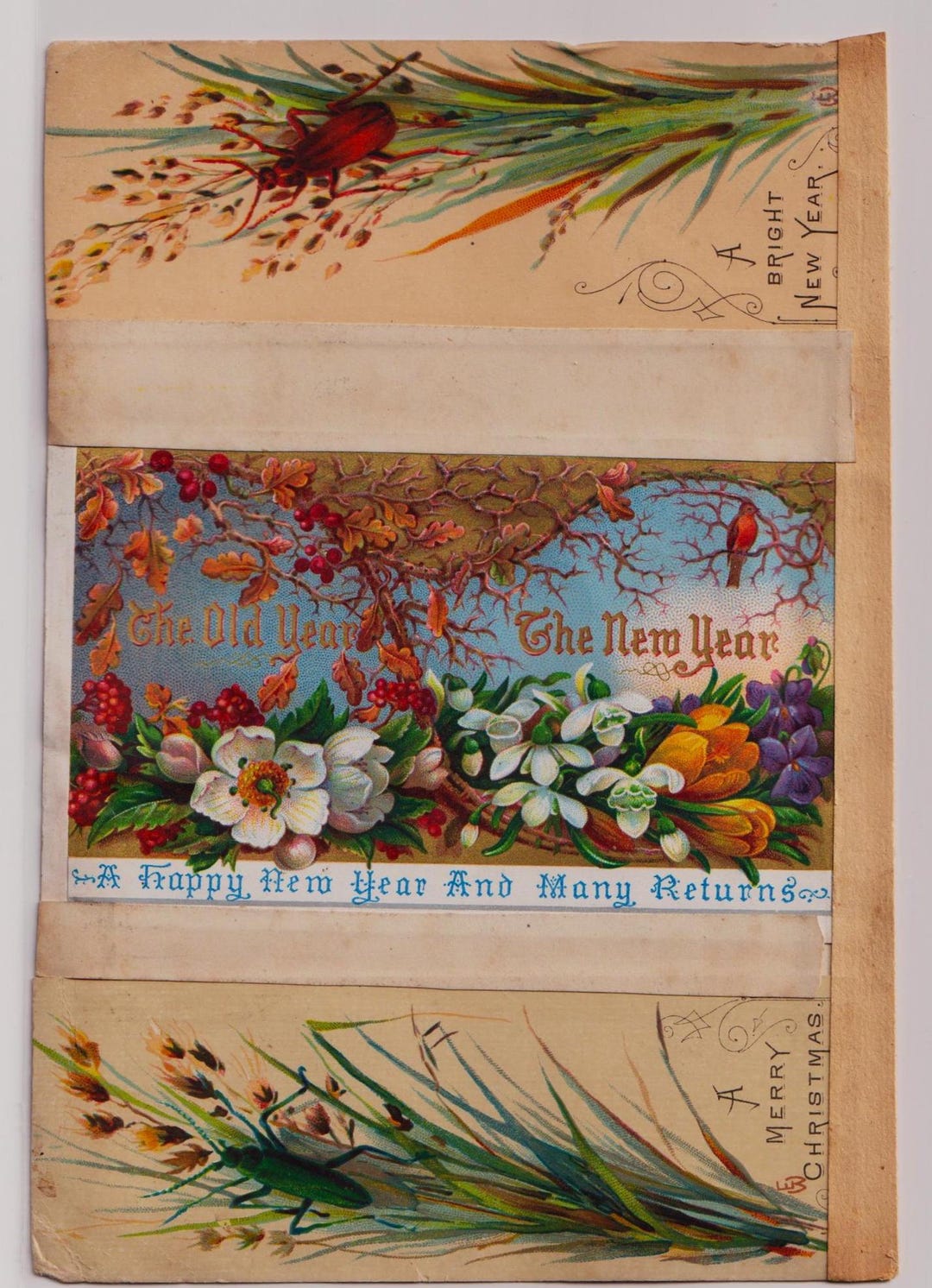 FLOWERS, INSECTS, BIRDS, New Year, Page From Scrapbook, Victorian ...