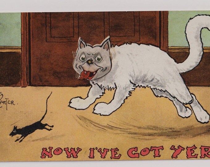 Now I've Got Yer! CAT Chasing MOUSE! Artist Reg Carter, Antique Comic ...