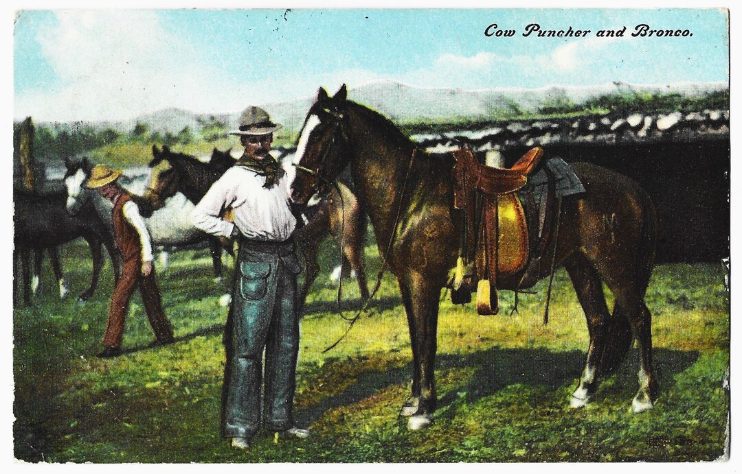COW PUNCHER and BRONCO, Canada, Antique Postcard, Posted From Canada to ...