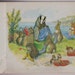 The HARE in a HURRY by Molly BRETT, Vintage Children's Picture Book ...