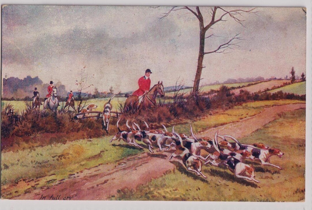 Antique British Hunting Postcard, Hounds and Horses, 1913 - Etsy
