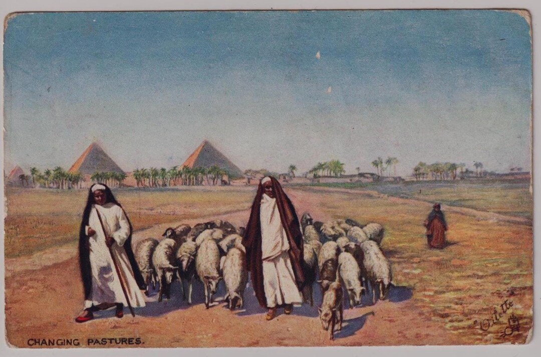 Antique Egypt Postcard, Shepherds, Sheep and Pyramids, C1920 - Etsy