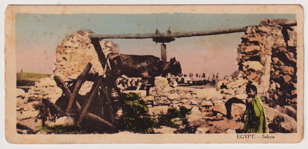 Antique WW1 Postcard, Egyptian Well and Sakieh/water Lifting Device, B ...