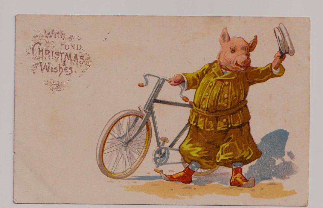 Anthropomorphic PIG Getting Ready to Ride BICYCLE!, With Fond Christmas ...